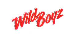 Wild Boyz - discography, line-up, biography, interviews, photos