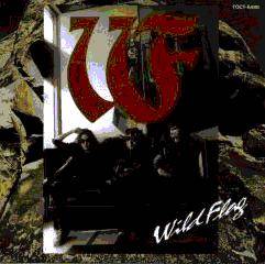 Wild Flag - Discografía, line-up, biografía, entrevistas, fotos