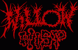 Willow Wisp - Discografía, line-up, biografía, entrevistas, fotos