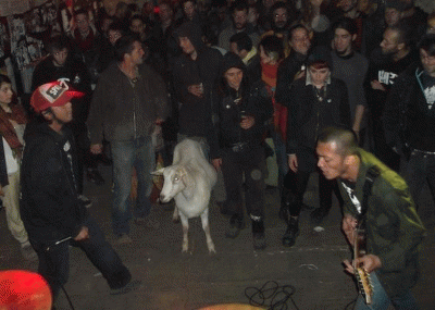 Wormrot - discographie, line-up, biographie, interviews, photos