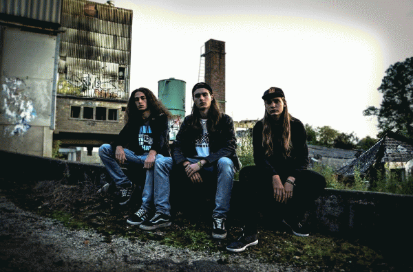 Wulfpäck - Diskografie, Line-Up, Biografie, Interviews, Fotos